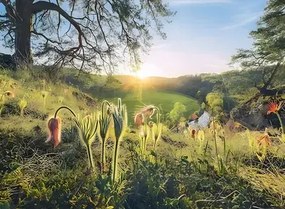 RAVENSBURGER Puzzle Čtyři roční období / 4x 500 dílků / rozměr 49x34 c