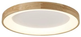 Azzardo AZ2698 - LED Stropní svítidlo SILVAM 1xLED/50W/230V