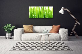 Obraz na plátně Tráva Rostlina Příroda 125x50 cm