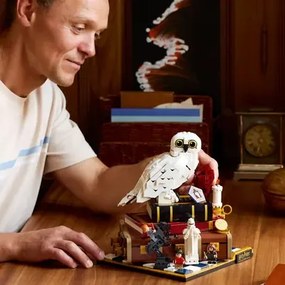 LEGO® Harry Potter™ 76466 Kámen mudrců – sběratelská edice / Počet díl