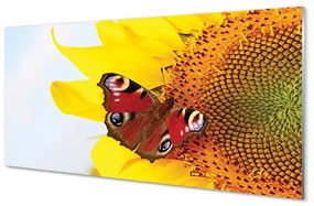akrylový obraz slunečnice motýl 125x50 cm