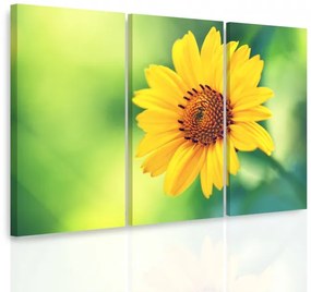 Malvis ® Vícedílný obraz - Žlutý květ Velikost (šířka x výška): 120x80 cm