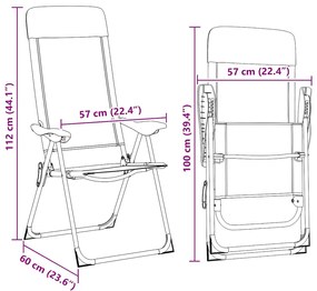 vidaXL Marketos Skládací kempingové židle 4 ks šedé hliníkové
