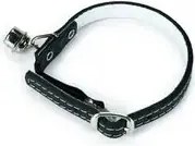 Beeztees Obojek pro kočky kožený černá 23.5-28cm x 10mm