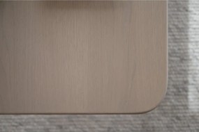 Konferenční stolek s deskou v dubovém dekoru ve světle přírodní barvě 70x160 cm Driscoll – Rowico