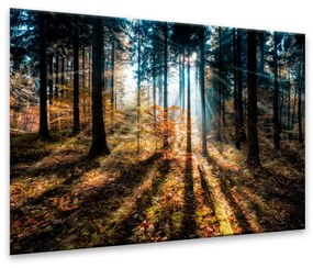 Obraz Styler Glasspik Autumn Sunset, 70 x 100 cm