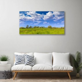 Obraz na plátně Louka Tráva Nebe Krajina 100x50 cm