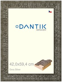 DANTIK rámeček 42x59,4 | Dora Silver (Plexi Čiré)