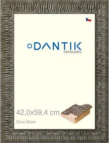 DANTIK rámeček 42x59,4 | Dora Silver (Plexi Čiré)