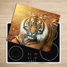 Skleněná krájecí deska Bengálský tygr 60x52 cm
