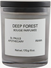 Vonná svíčka Deep Forest (pomeranč, bílá růže, cedr a pačuli)