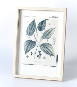 Botanická fotografie na zeď - Pepř - 21 x 30 cm (A4) / s rámem