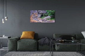 Obrazy na plátně Tiger v zoo 125x50 cm