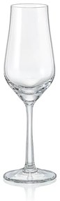 Crystalex - Bohemia Crystal Sklenice na šampaňské Tulipa 170 ml, 6 ks