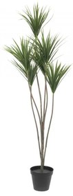 Umělá květina - Palma Yucca, 130cm