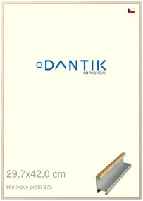 DANTIK rámeček 29,7x42 | ALU profil 7273 Dýha javor (Plexi Čiré)