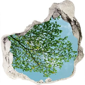 Wallmuralia Díra 3D ve zdi nálepka Listí na nebi 75x75 cm