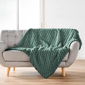 Zelená deka z mikroplyše 220x240 cm Frosty – douceur d'intérieur