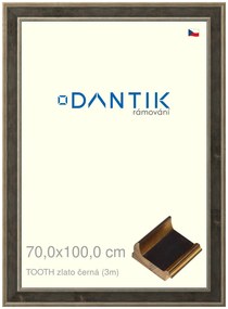 DANTIK rámeček 70x100 | TOOTH zlato černá (Plexi Čiré)