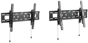 Fiber Mounts CERTEZA