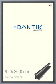 DANTIK rámeček 20x30 | ALU profil 7002 Platina matná (Sklo Čiré)