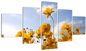 Obraz pole s jasně žlutými květy (125x70 cm)