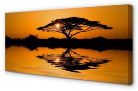 Obrazy na plátně Sunset tree 125x50 cm