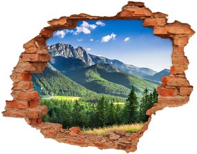Wallmuralia Nálepka fototapeta na zeď Skokanský můstek Tatry 90x70 cm