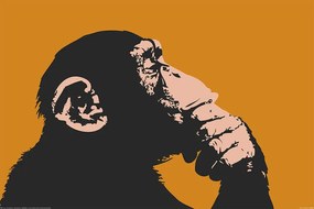 Plakát, Obraz - Monkey - Thinking