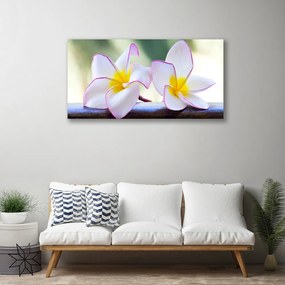 Obraz na plátně Květiny Plátky Plumérie 125x50 cm