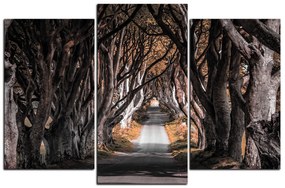 Obraz na plátně - Tmavé ploty v  Irsku 1134FC (150x100 cm)
