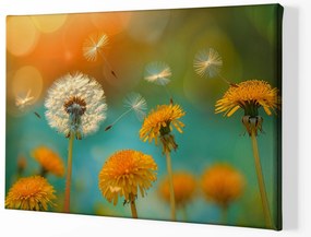 Obraz na plátně - Pampeliška, bílé nadělení FeelHappy.cz Velikost obrazu (šířka x výška): 120 x 80 cm