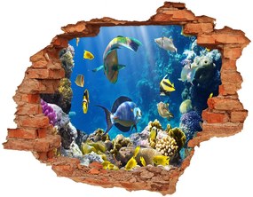 Wallmuralia Fototapeta díra na zeď Korálový útes 90x70 cm