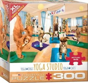 EUROGRAPHICS Puzzle Jóga studio XL / 300 dílků / extra velké dílky / 6