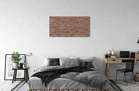 Obrazy na plátně Cihlové zdi wall 120x60 cm