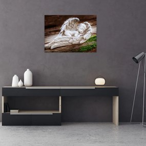 Skleněný obraz - Spící andílek (70x50 cm)