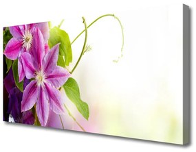Obraz na plátně Květiny Příroda 120x60 cm