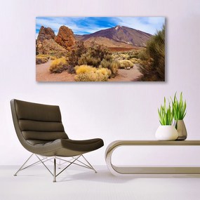 akrylový obraz Hory Rostliny Skály Krajina 120x60 cm