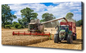 Wallmuralia Foto obraz na plátně Kombajn a traktor 100x50