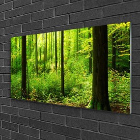 Obraz na skle Les Zeleň Stromy Příroda 120x60 cm