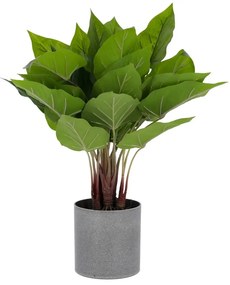 Umělá květina Toulitka Kave Home, výška 50 cm