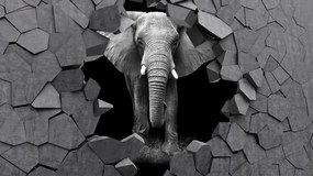 3D obraz slon Velikost (šířka x výška): 60x40 cm