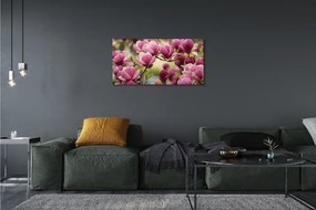 Obrazy na plátně květy 140x70 cm