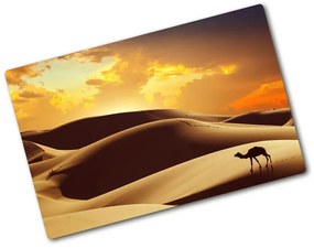 Wallmuralia Kuchyňská deska skleněná Velbloud Sahara 80x52 cm