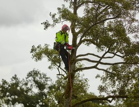 Akumulátorová řetězová pila CRAMER 82TCS15 (Dodáváno bez baterie a nabíječky)