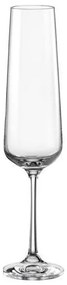Crystalex Sklenice na sekt SANDRA 200 ml, 6 ks