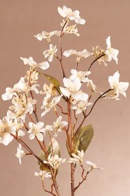Paramit DRY TUNG FLOWER Aranžovací květina bílá 63 cm