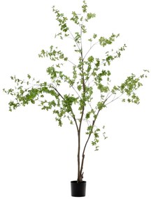 Umělá květina Kave Home Enkianthus 214 cm