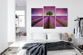 Vícedílný obraz Strom Uprostřed 3D Levandulového Pole Nedostatek Nedostatek Plátno Canvas 120x80