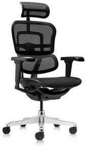 Office Pro Kancelářská židle na kolečkách SIRIUS MESH NEO – síťovina, nosnost 130 kg černá